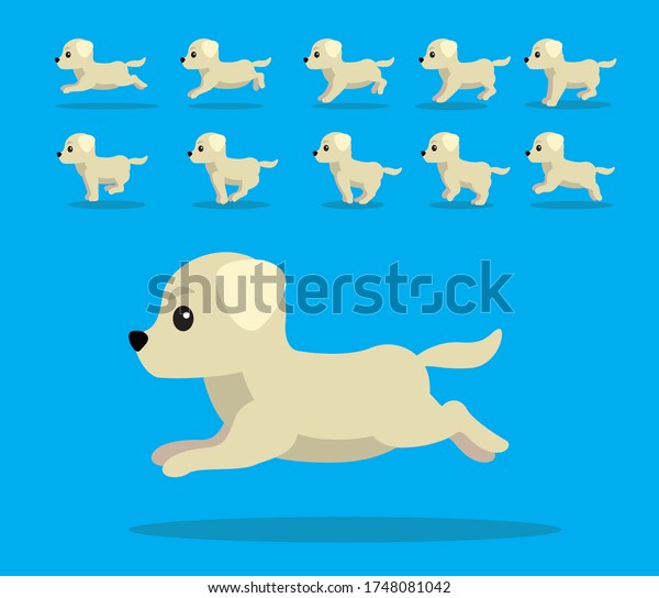 Animal Animation Sequence Dog Labrador Retriever Stock Vector (Royalty ...