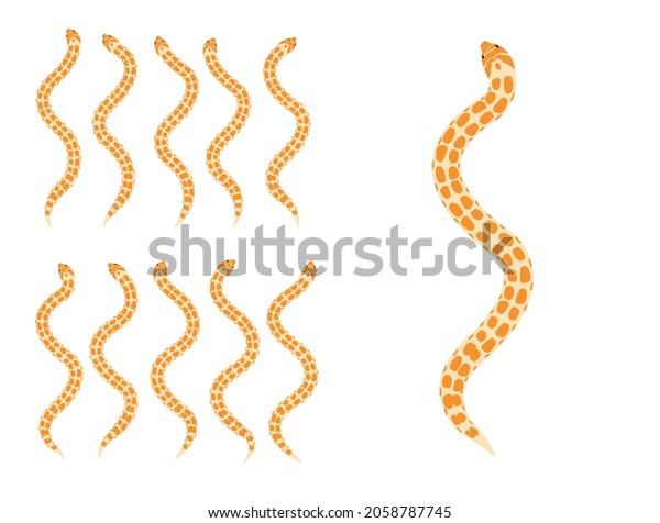 Animal Animation Sequence Hognose Snake Cartoon Stock Vector (Royalty ...