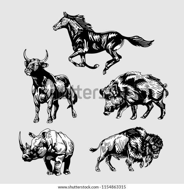 Animal Black White Vector3 Stock Vector (Royalty Free) 1154863315 ...