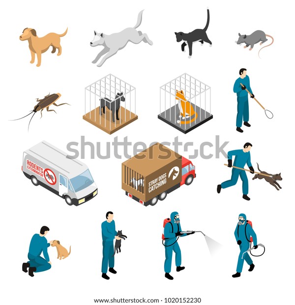 Animal Control Service Catching Stray Dogs Stock Vector (Royalty Free ...