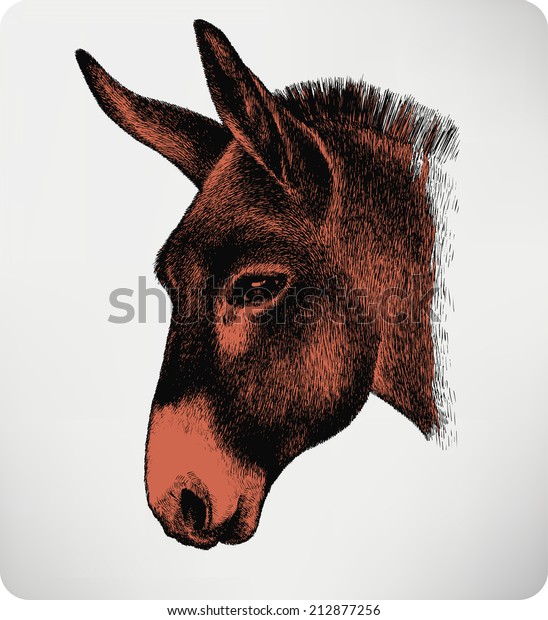 Animal Donkey Handdrawing Vector Illustration Stock Vector (Royalty ...