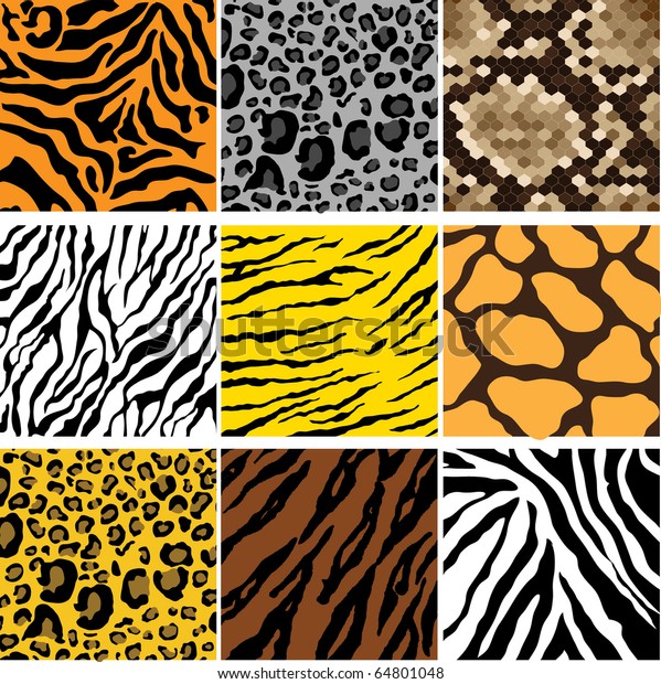 Animal Skin Stock Vector (Royalty Free) 64801048 | Shutterstock