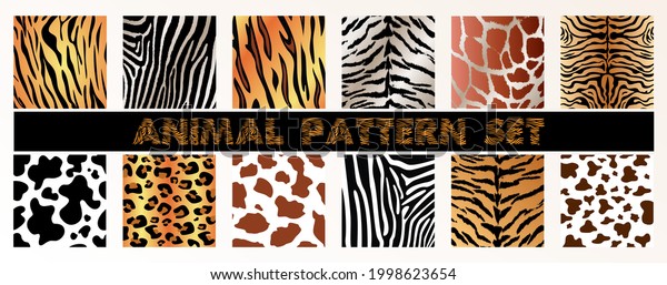 Animal Texture Pattern Clothing Print Wrapping Stock Vector (Royalty ...