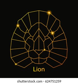 Animal Triangle Heads Vector Animals Lion Stock Vector (Royalty Free ...