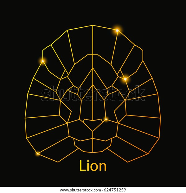 Animal Triangle Heads Vector Animals Lion Stock Vector (Royalty Free ...