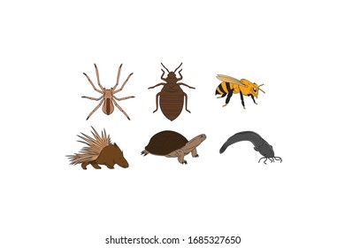 Poisonous Animals Vector Stock Vector (Royalty Free) 577181374