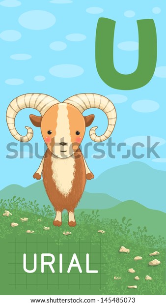 Animals Abc Letter U Urial Alphabet Stock Vector (Royalty Free) 145485073