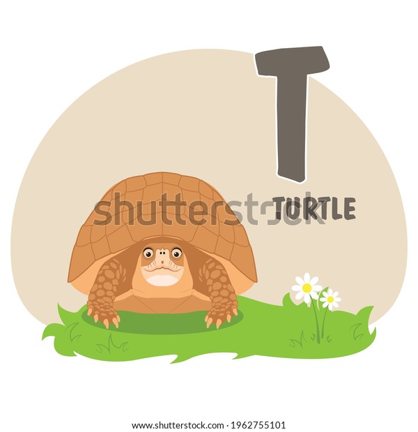 Animals Alphabet Cute Turtle Daisy On Stock Vector (Royalty Free ...