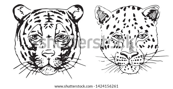 Animals Endangered Species Vector Illustration Stock Vector (Royalty ...