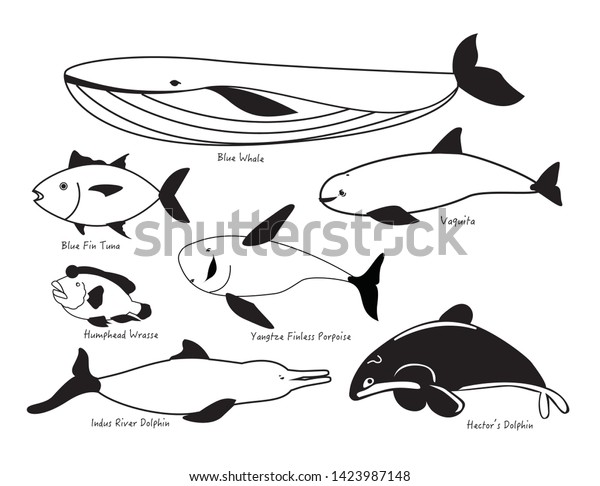 Animals Endangered Species Vector Illustrator Stock Vector (Royalty ...