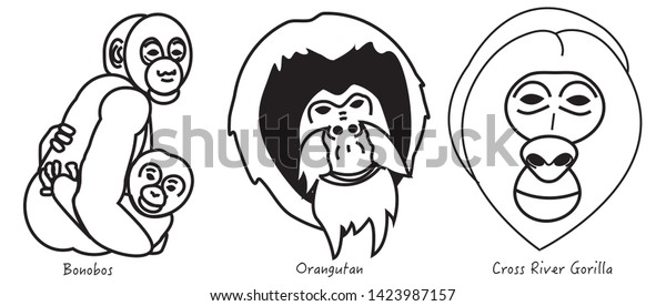 Animals Endangered Species Vector Illustrator Stock Vector (Royalty ...