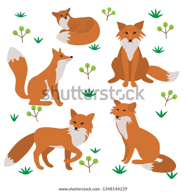Animals Foxes Wild Cartoon Stock Vector (Royalty Free) 1348144229
