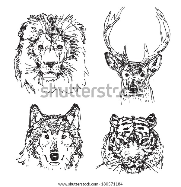 Animals Heads Sketchy Vector Drawings Set 库存矢量图（免版税）180571184 ...
