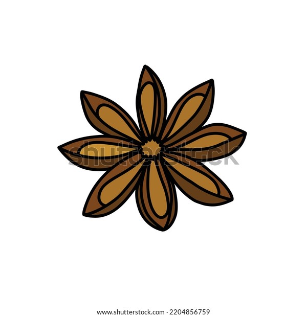 Anise Star Doodle Icon Vector Illustration Stock Vector (Royalty Free ...