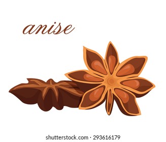 Anise Vector Illustration Stock Vector (Royalty Free) 293616179 ...