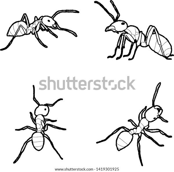 Ant Vector Illustration Hand Drawn Animal Stock Vector (Royalty Free ...