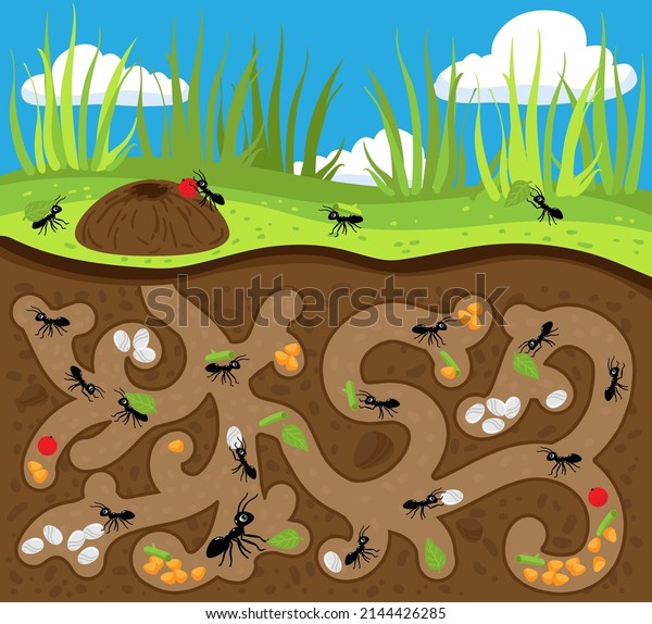 1,302 Anthill Cartoon Images, Stock Photos & Vectors | Shutterstock