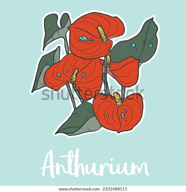 Anthurium Flower Vector Color Illustration Stock Vector (Royalty Free ...