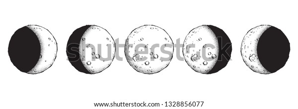 Antique Style Hand Drawn Line Art Stock Vector (Royalty Free) 1328856077