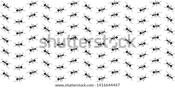 Ants Following Path On White Background Stock Vector (Royalty Free ...