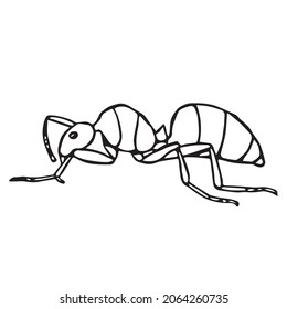 Ants Line Artants Vector Artants Line Stock Vector (Royalty Free ...