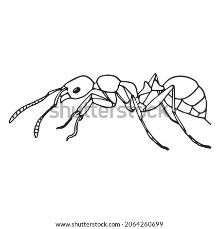 Ant Line Drawing | Free download on ClipArtMag