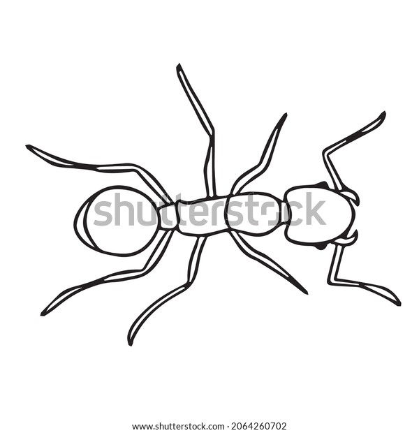 Ants Line Artants Vector Artants Line: Vector có sẵn (miễn phí bản ...