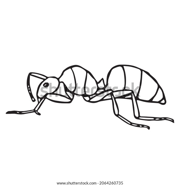 Ants Line Artants Vector Artants Line Stock Vector (Royalty Free ...