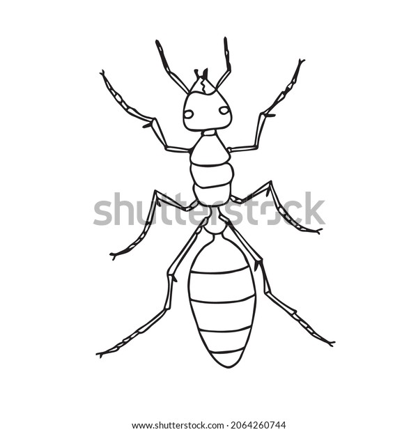 Ants Line Artants Vector Artants Line Stock Vector (Royalty Free ...