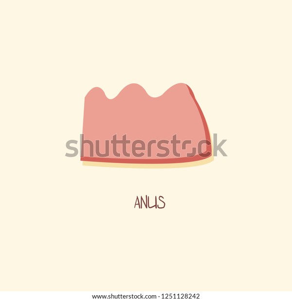 Anus Human Anatomy Body Vector Illustration Stock Vector (Royalty Free ...