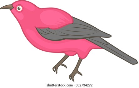 Apapane Bird Vector Illustration Stock Vector (Royalty Free) 332734292 ...