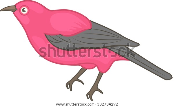 Apapane Bird Vector Illustration Stock Vector (Royalty Free) 332734292 ...