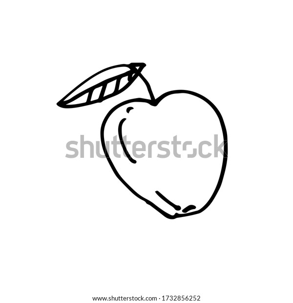 Apple Sketch Doodle Vector Illustration Stock Vector (Royalty Free ...
