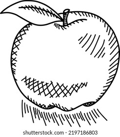 Apple Vector Line Art Illustration Your Stock Vector (Royalty Free ...