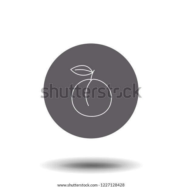 Apricot Icon Apricot Linear Symbol Design Stock Vector (Royalty Free ...