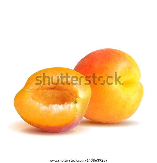 Apricot Low Poly Fresh Nutritious Tasty Stock Vector (Royalty Free ...