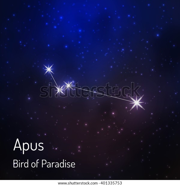 Apus Bird Paradise Constellation Night Starry Stock Vector (Royalty ...