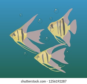 Vektor Stok Aquarium Fish Angelfish Vector (Tanpa Royalti) 1256192287 ...