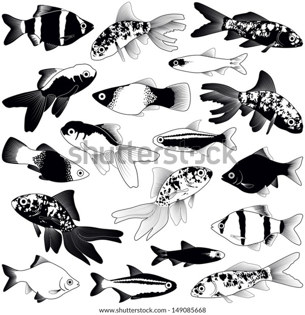 Aquarium Fish Collection Vector Silhouette Illustration Stock Vector ...