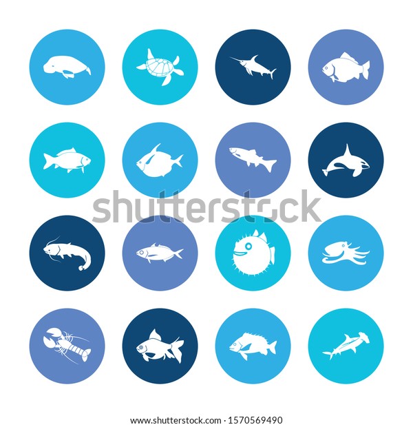 Aquatic icon set and arctic char fish with hammerhead shark, octopus ...
