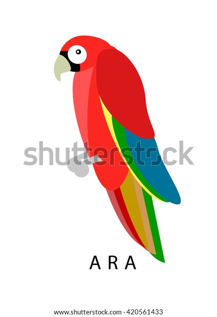 Ara Parrot Red Ara Vector Illustration Stock Vector (Royalty Free ...
