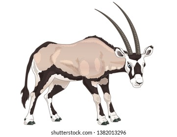 606件の「Cartoon oryx」の画像、写真素材、ベクター画像 | Shutterstock