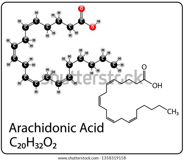 Vektor Stok Arachidonic Acid Molecule Structure (Tanpa Royalti ...