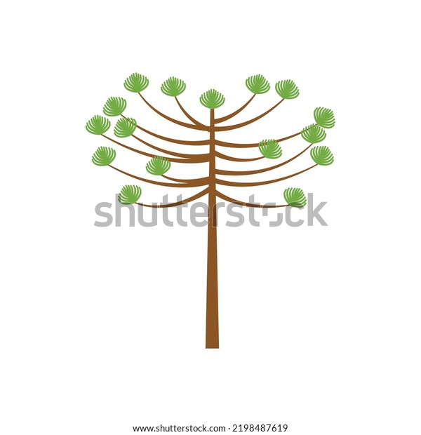 Araucaria Tree Design Vector Flat Modern Stock Vector (Royalty Free ...