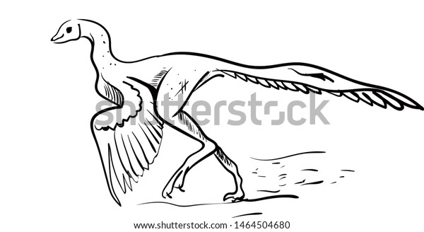 Archaeopteryx Drawing Illustration Vector On White Stock Vector ...
