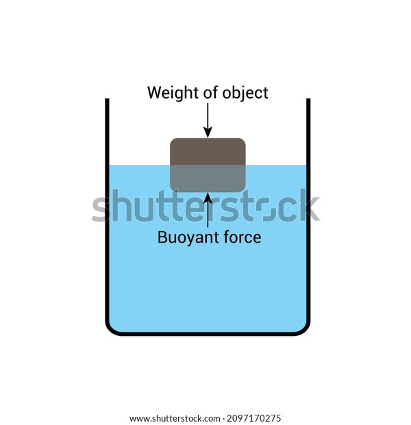 Archimedes Principle Experiments Buoyant Force Positive Stock Vector ...