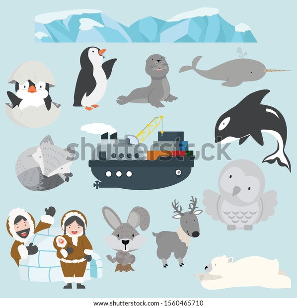 Arctic Cartoon Flat Style Character Illustration Stock Vector (Royalty ...