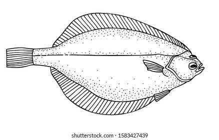 Coloring Page Outline Tropical Fish Vector Stock Vector (Royalty Free ...