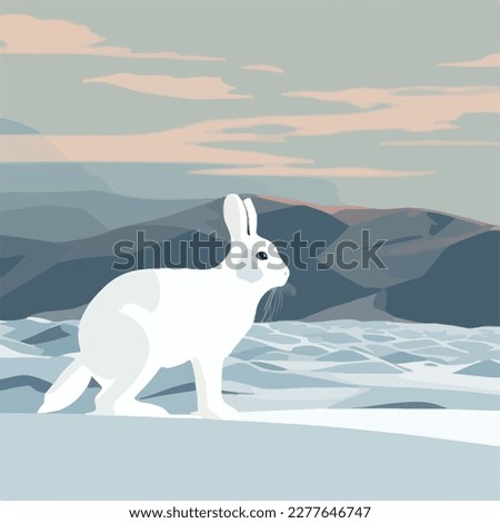 Arctic Hare Drawing | Free download on ClipArtMag