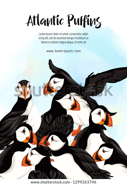 Arctic Puffins Vector Illustration Stock Vector (Royalty Free ...